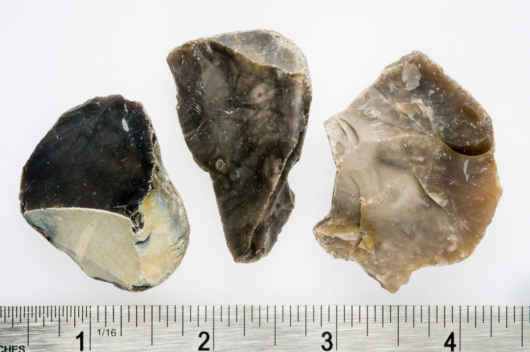 Flint – Brscientific